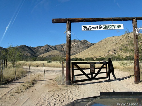 TRAVEL WITH THE BAYFIELD BUNCH:)): TODAY WE VISITED THE GRAPEVINE ...